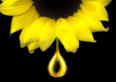 The origin story of Garnier and its beauty history - Garnier