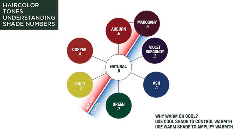 Cómo encontrar tu mejor color con la gráfica de coloración para el ...