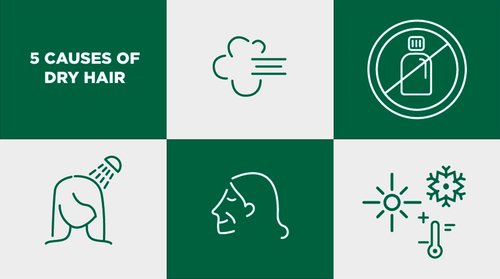 The 5 causes of dry hair and how to treat it – Garnier