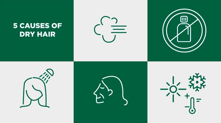 The 5 causes of dry hair and how to treat it – Garnier