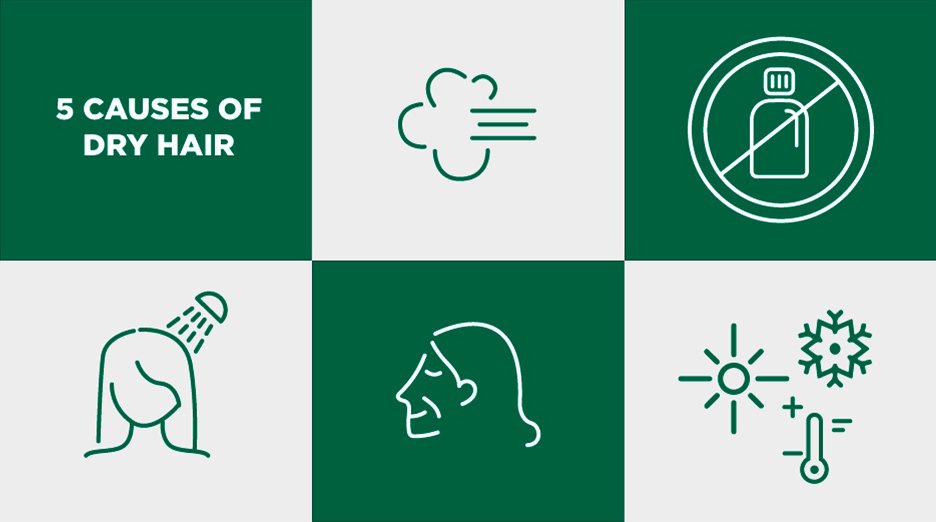 The 5 causes of dry hair and how to treat it – Garnier