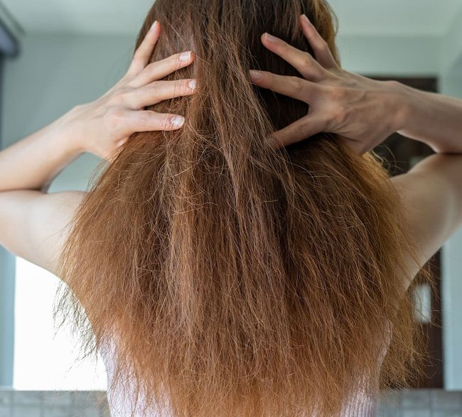 Fructis Hair Care - Grow Strong Thickening Collection - Garnier