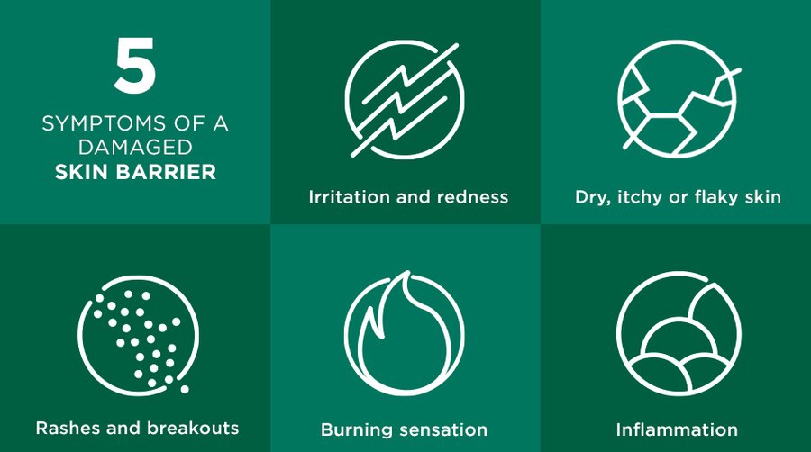 How to repair and nourish your damaged skin barrier - Garnier