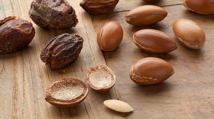 What Is An Argan Nut? - Skin Care - Garnier