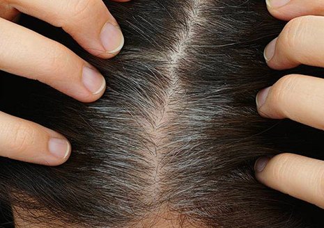 Hair Color Products & Tips to Cover Gray Hair - Garnier