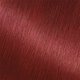 Nutrisse Nourishing Color Creme - True Red 66 (Pomegranate) - Garnier