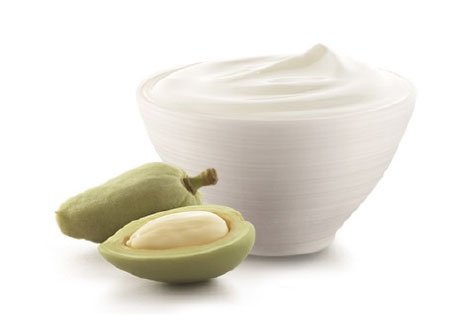 Almond for Hair and Skin - Beauty Ingredients - Garnier