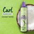 Curl Construct Mousse - Curl Definition - Garnier Fructis Style
