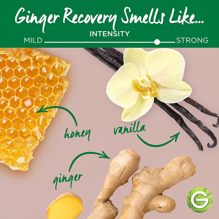 Strengthening Shampoo Bar with Ginger Extract - Garnier