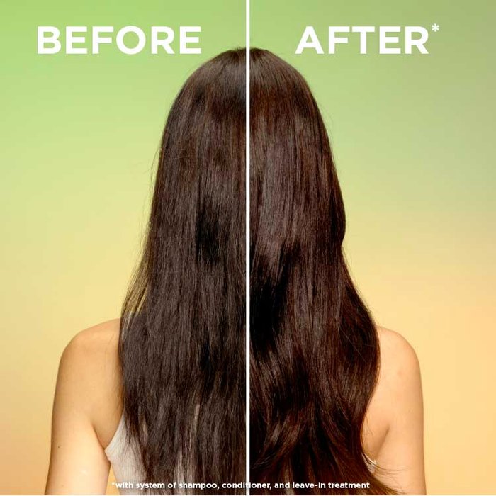 Fructis Sleek & Shine 10-in-1 Leave-In Spray - Garnier