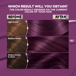 Nutrisse Permanent Intense Purple Color Creme - Garnier