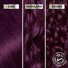 Nutrisse Ultra Color - Dark Intense Violet Hair Color - Garnier