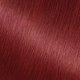 Nutrisse Ultra Crème - 66 True Red Hair Color - Garnier